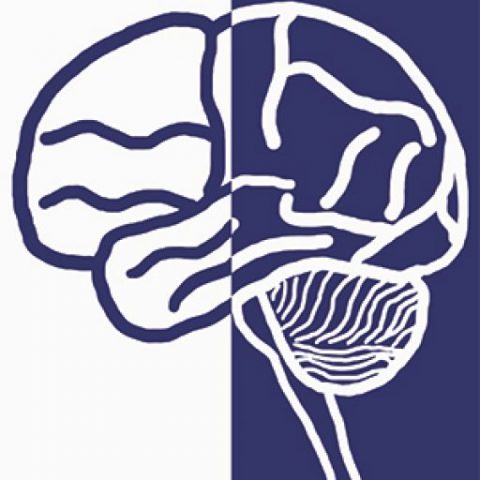 Neurology | Dr Dominic Mort